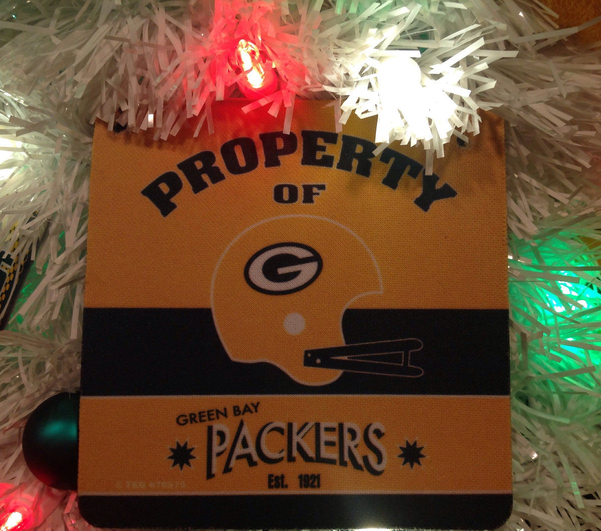 Green Bay Packers – Liz The Season